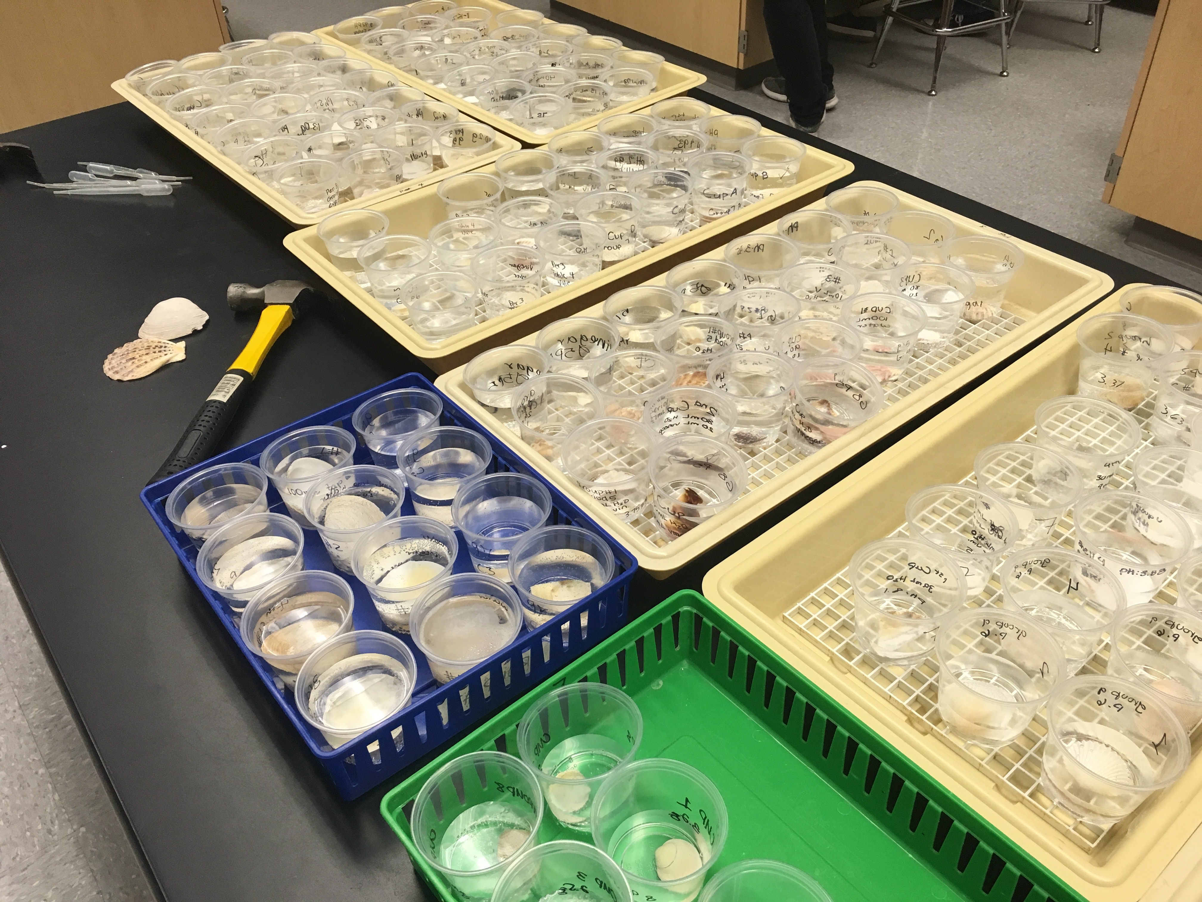 Ocean Acidification Lab - Teaching AP® Science
