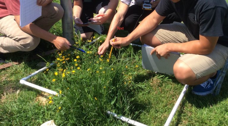 AP Environmental Science APES Lab Supplies Part 2: Other Recommended Labs