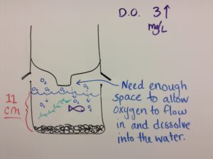 Building the Aquatic Chamber in Ecocolumns - Teaching AP® Science