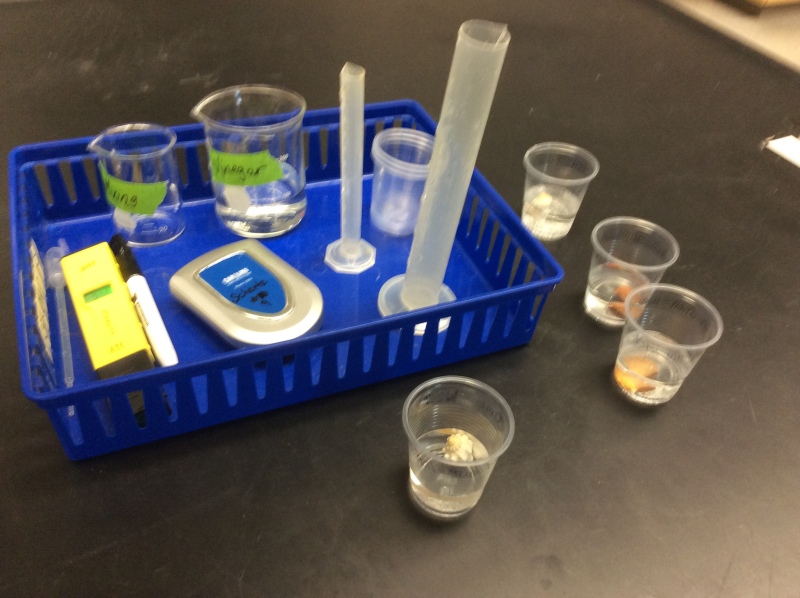 AP Environmental Science Lab Supplies Part 1: Essential Labs