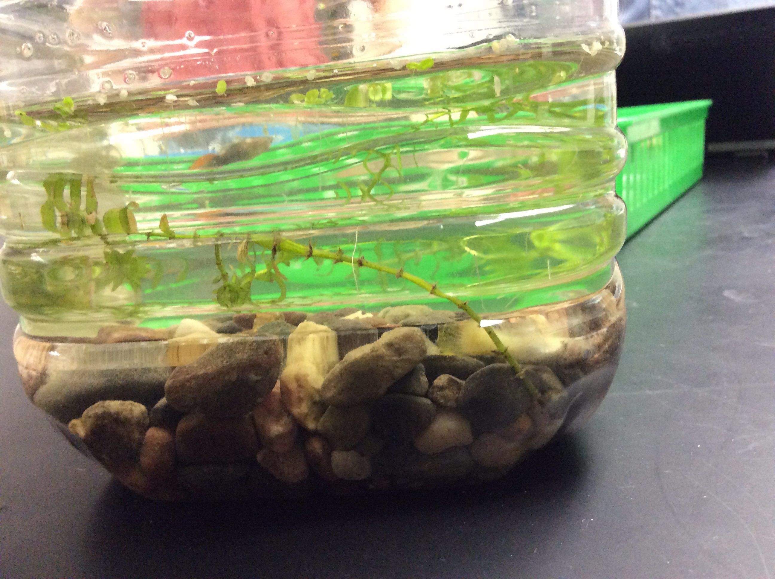 IMG_1445 - Teaching AP® Science