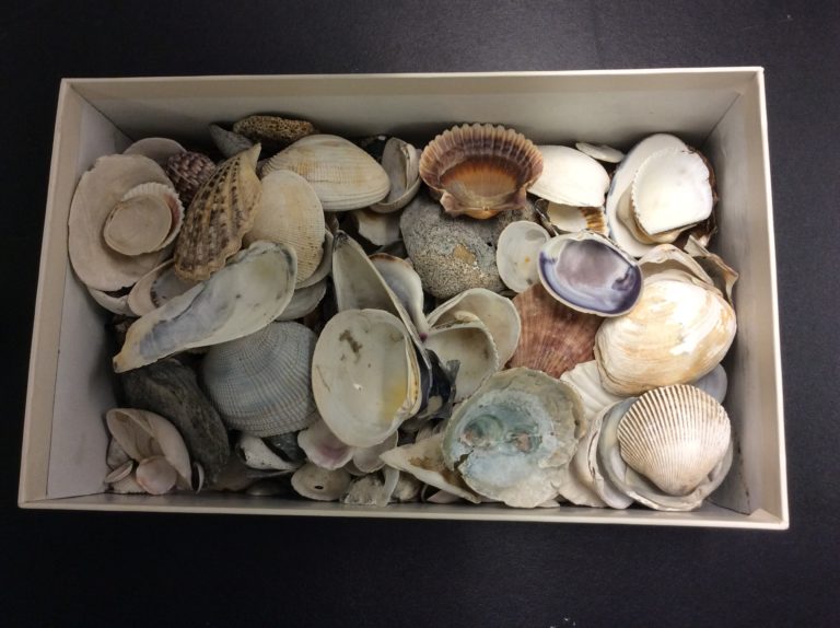 Ocean Acidification Experimental Design Lab - Teaching AP® Science