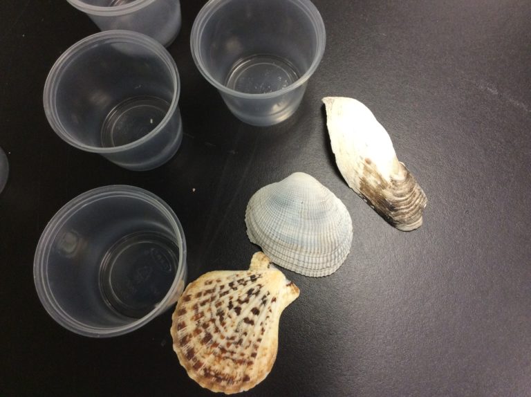 Ocean Acidification Experimental Design Lab - Teaching AP® Science
