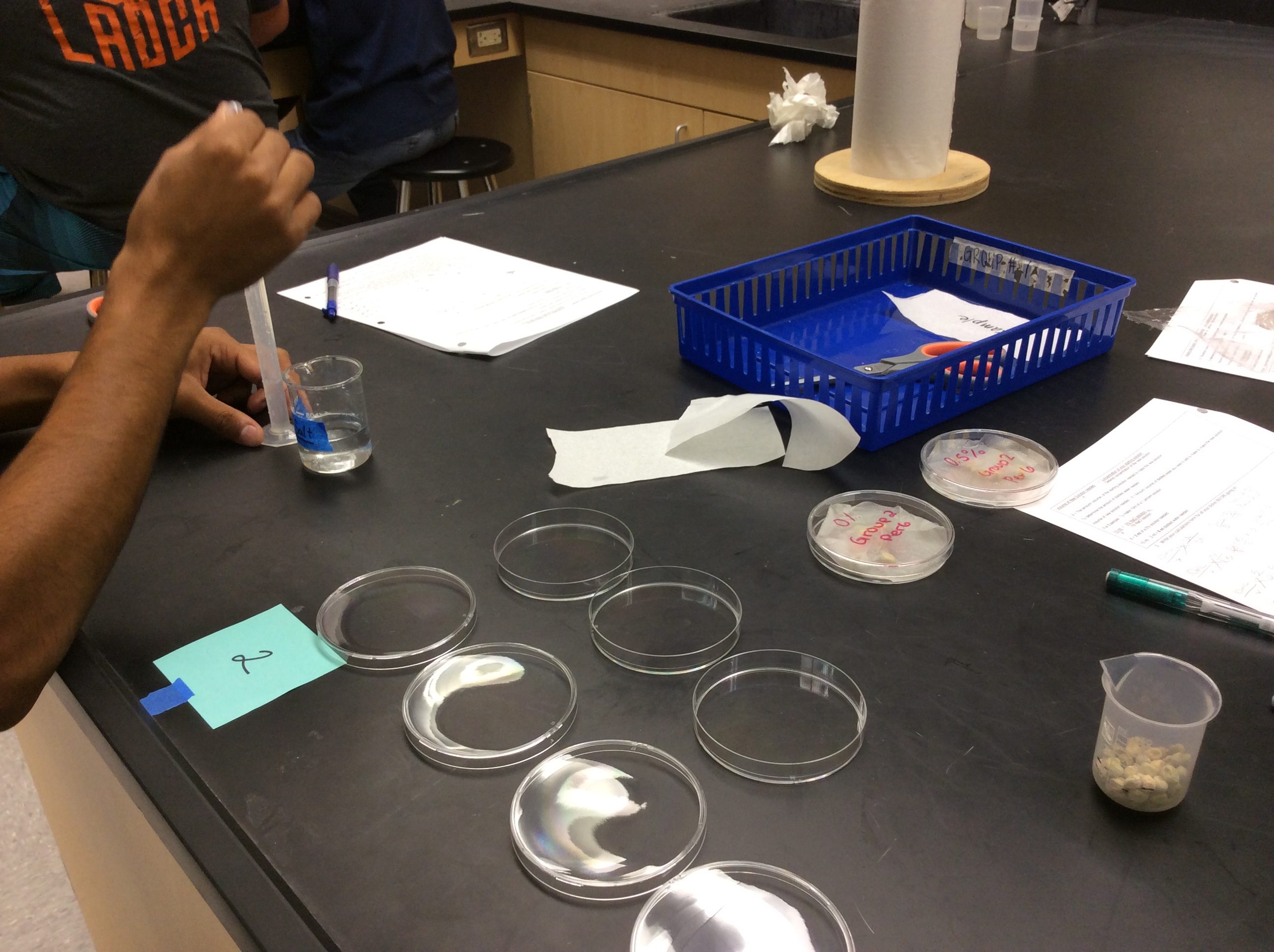 Soil Salinization Lab Teaching Ap Science