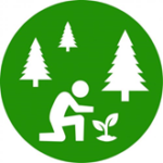 Trees, Forestry and Deforestation 5E - Teaching AP® Science
