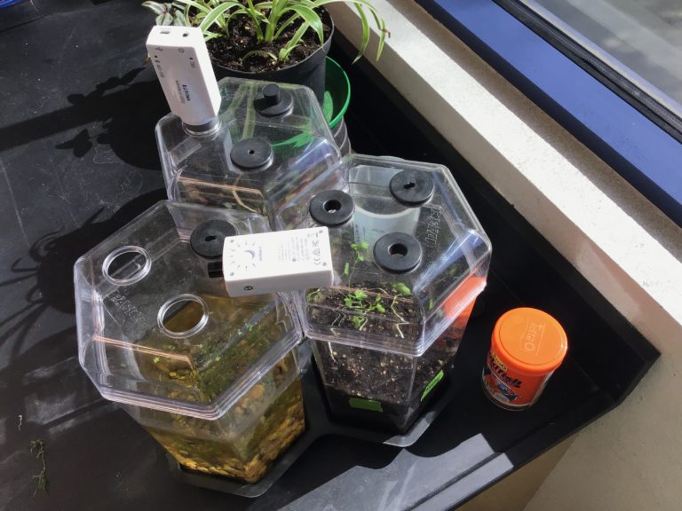 lab Archives - Teaching AP® Science