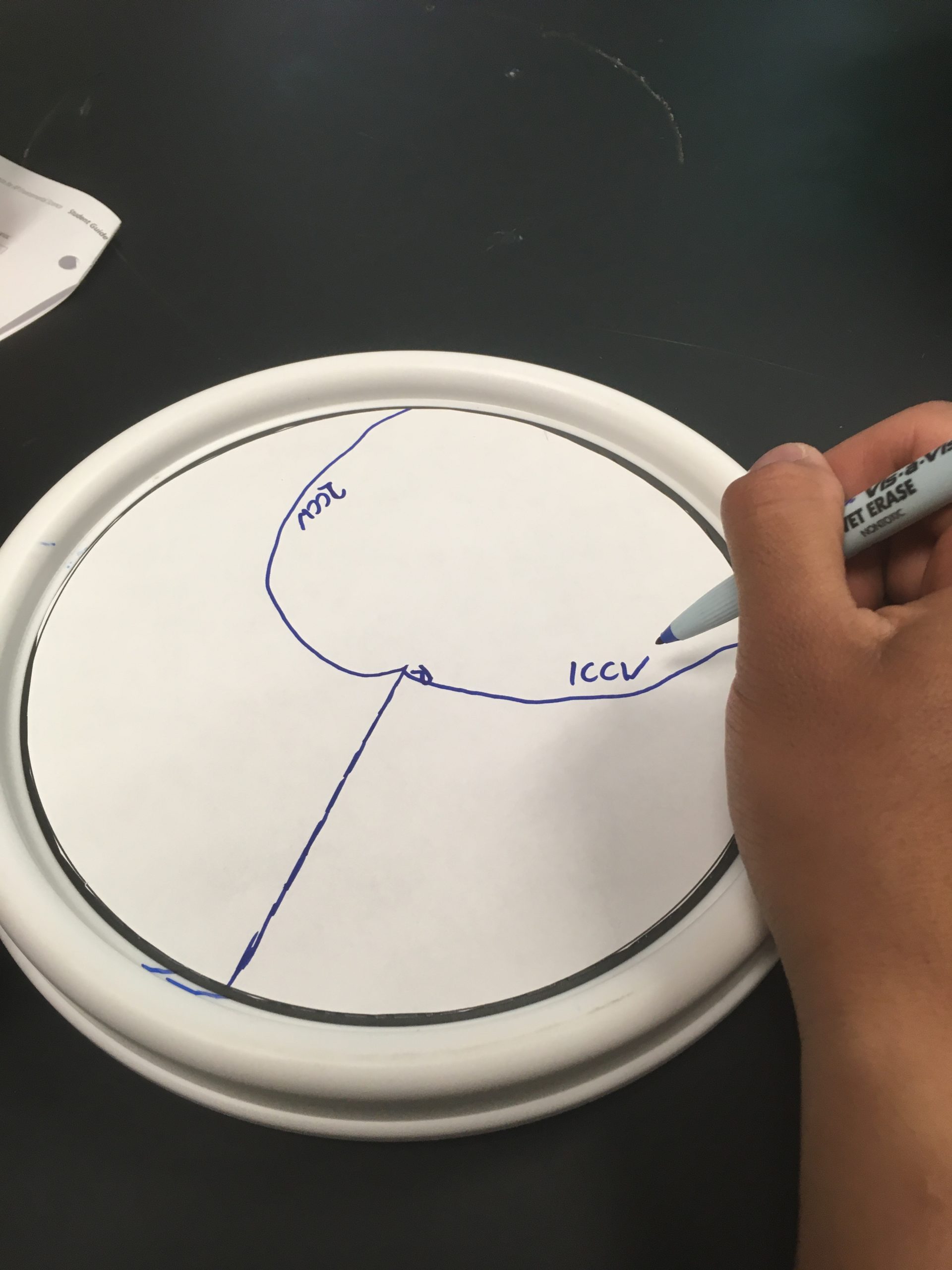 Coriolis Effect and Atmospheric Circulation Lab - Teaching AP® Science